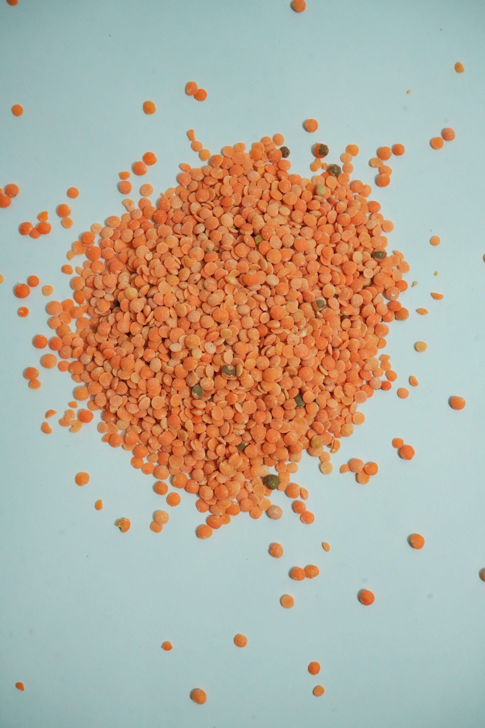 Masoor Dal-500gm - Rohtas Organic Farm